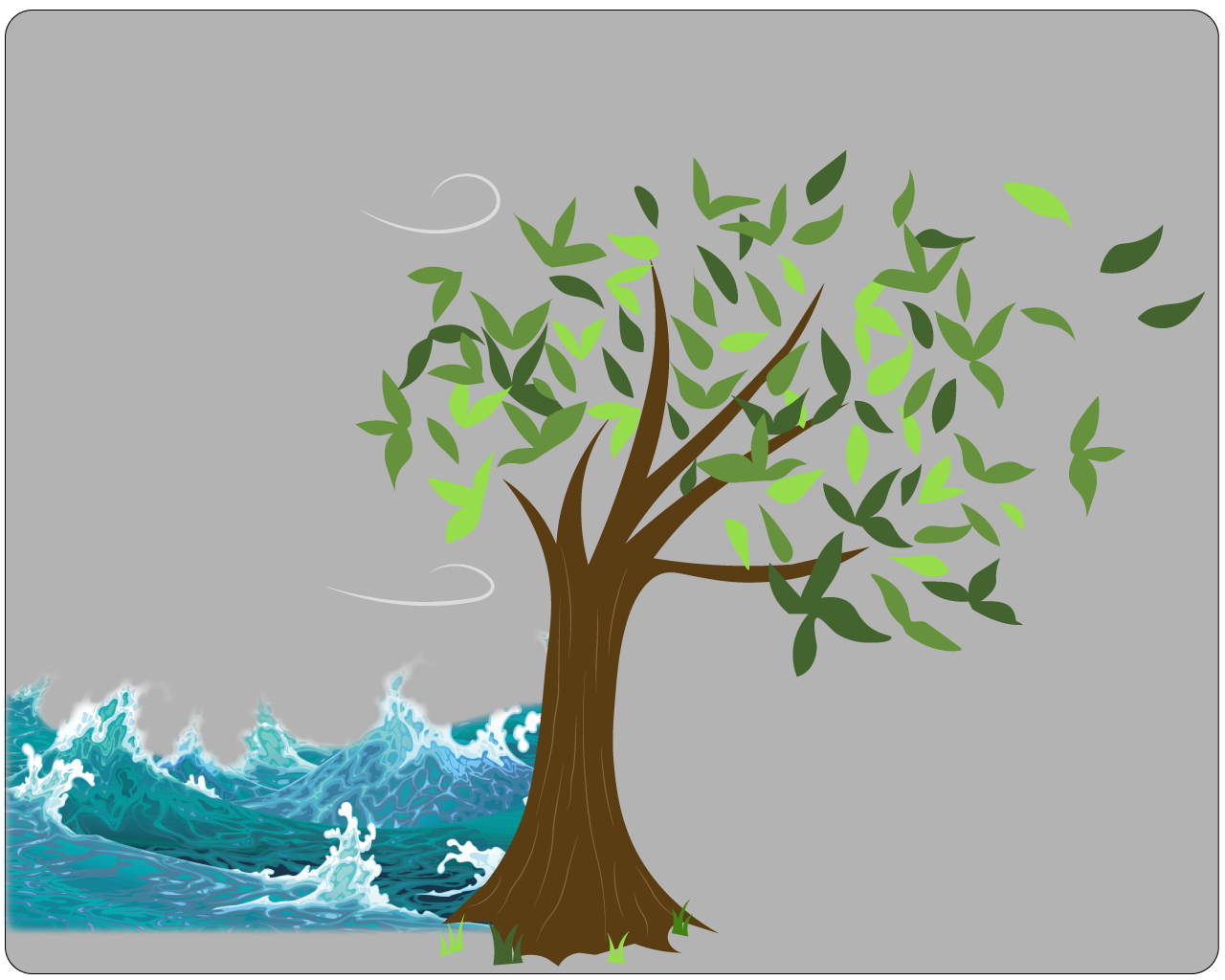 A Tour of Tropical Cyclones | Desktop Version